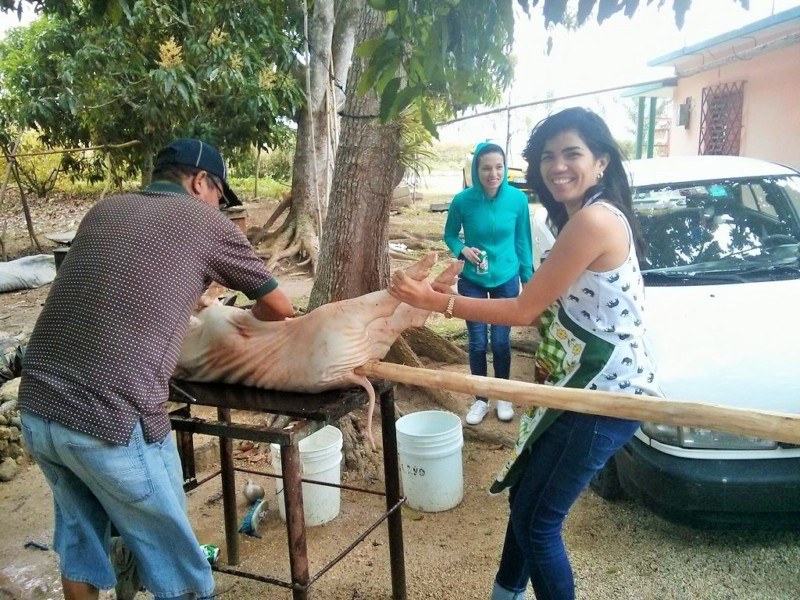 Cuban Pig Roast - Authentic Cuban Lechon Asado ⋆ Best Cuba And Havana ...