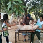 Cuban Pig Roast - Authentic Cuban Lechon Asado ⋆ Best Cuba And Havana ...